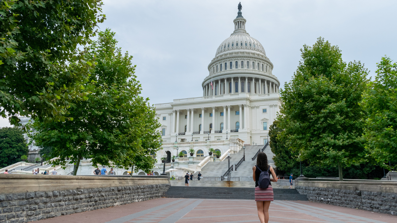 Maternity on the Hill: Reflections from the Congressional Digital ...